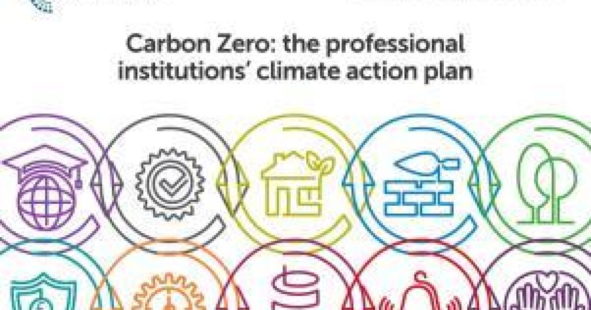 Carbon Zero: The professional… | Construction Industry Council